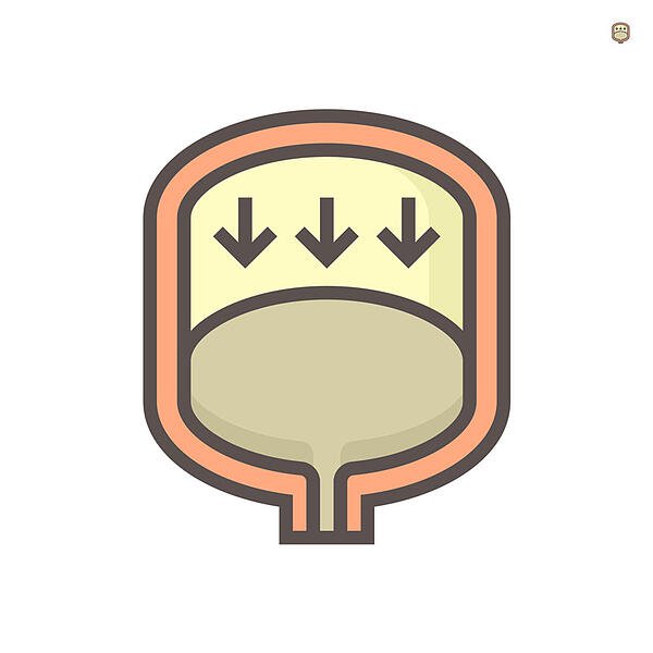 What is an Expansion Vessel in a Boiler